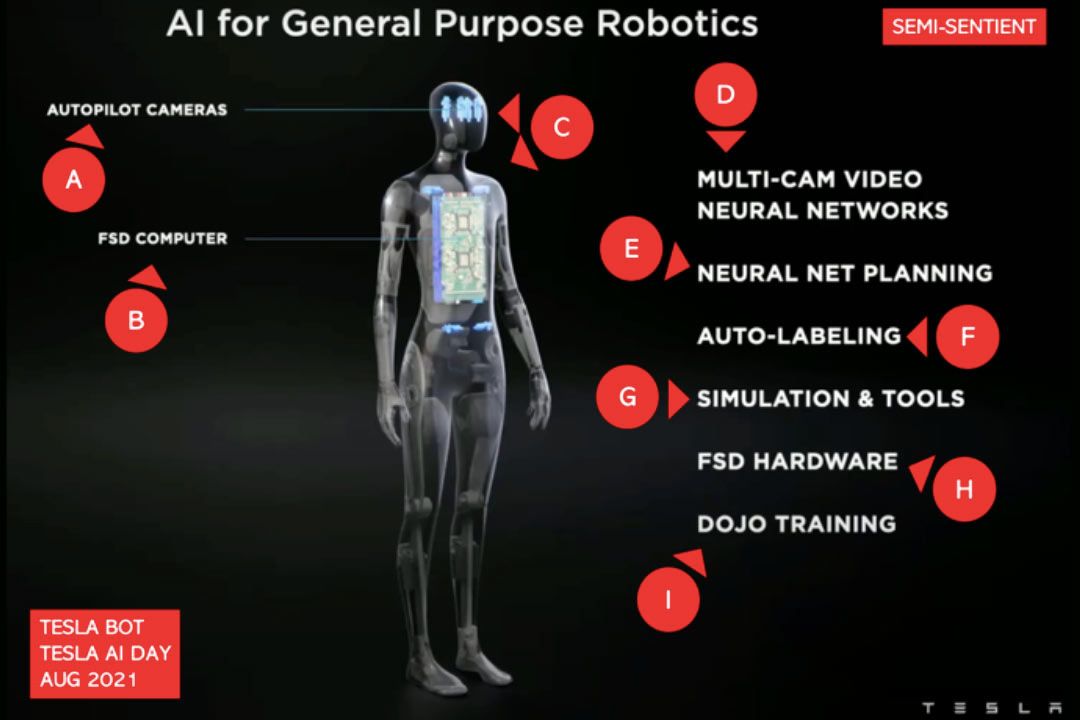 Tesla Bot: como o robô de Elon Musk vai funcionar?